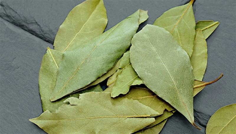 NRT2 ئێن ئاڕ تی